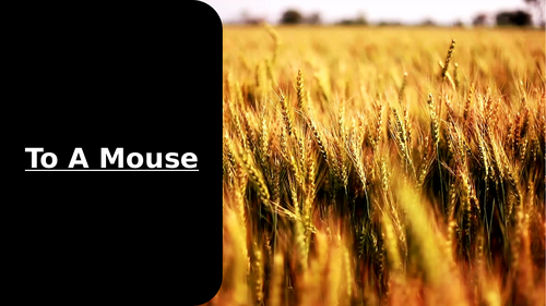 To A Mouse (Introduction to Of Mice and Men) | Teaching Resources