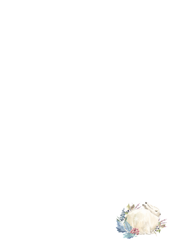 Non-chronological reports arctic animals lined and blank writing papers ...