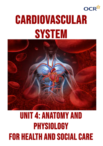 Unit 4 Anatomy and Physiology: LO1 Cardiovascular System Student ...