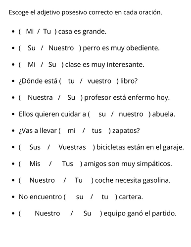 Ejercicios de Adjetivos Posesivos - possessive adjectives in spanish ...
