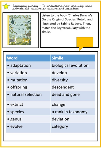 Chotting Booklet (Jane Considine Style) to go with 'The Origin of ...