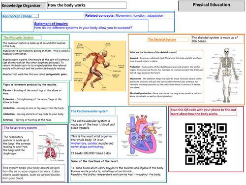 KS3 - How the Body Works - Knowledge Organiser | Teaching Resources