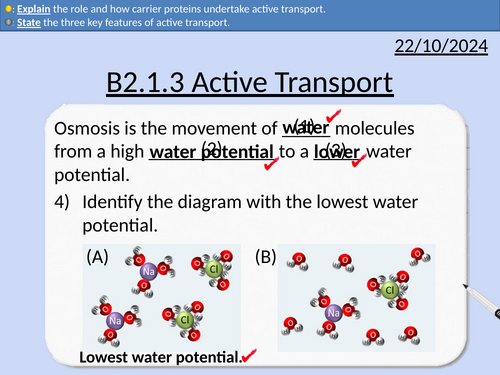 Gcse Biology Active Transport Teaching Resources
