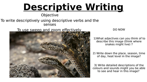 Snakes Vs Iguanas Descriptive Writing | Teaching Resources