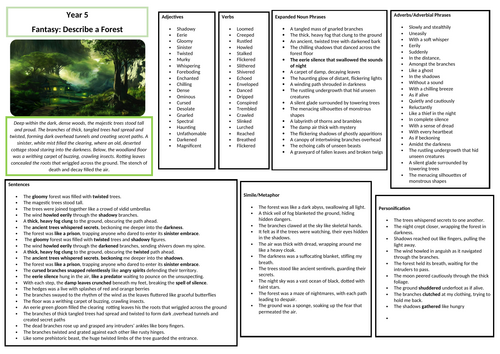 Word mat to describe a forest | Teaching Resources