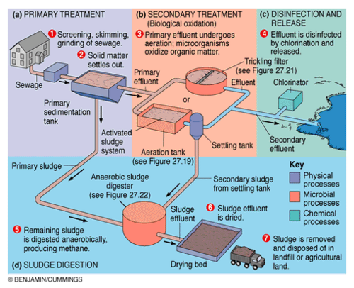 Unit 21 : Human influences on ecosystems (IGCSE Biology) | Teaching ...