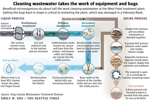 Unit 21 : Human influences on ecosystems (IGCSE Biology) | Teaching ...