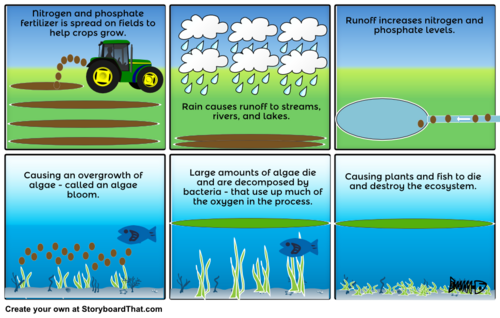 Unit 21 : Human influences on ecosystems (IGCSE Biology) | Teaching ...