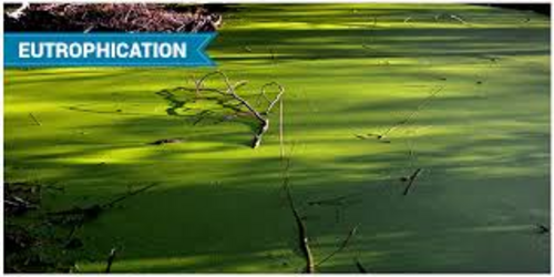 Unit 21 : Human influences on ecosystems (IGCSE Biology) | Teaching ...