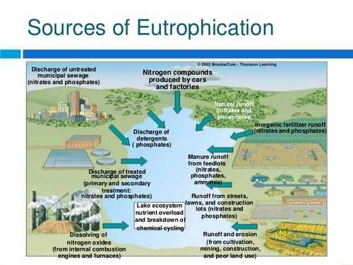 Unit 21 : Human influences on ecosystems (IGCSE Biology) | Teaching ...