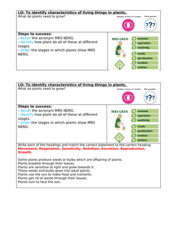 KS1 Year 2 Science | Living Things and Their Habitats | Full 6-Week ...