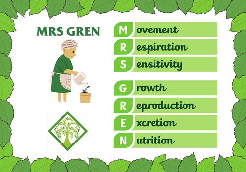 KS1 Year 2 Science | Living Things and Their Habitats | Full 6-Week ...