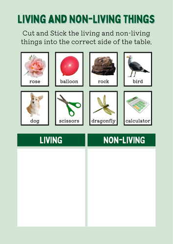 KS1 Year 2 Science | Living Things and Their Habitats | Full 6-Week ...