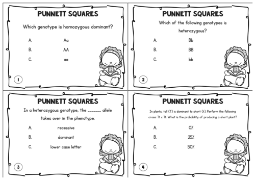Punnett Squares Task Cards Genetics Review | Teaching Resources