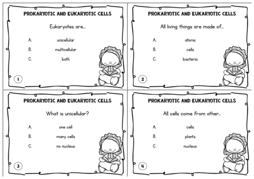 Prokaryotic And Eukaryotic Cells Task Cards Cell Theory | Teaching ...