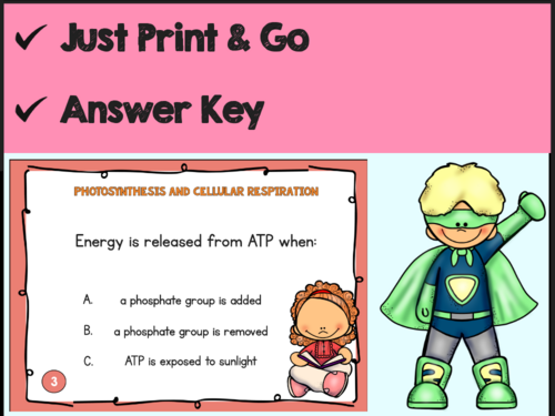 Photosynthesis And Cellular Respiration Task Cards Practice | Teaching ...