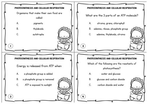 Photosynthesis And Cellular Respiration Task Cards Practice | Teaching ...