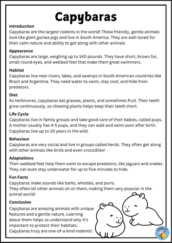 Report Writing- Animal Report Texts and Activities | Teaching Resources