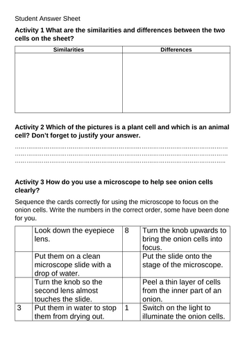 Y7 Cells Revision | Teaching Resources