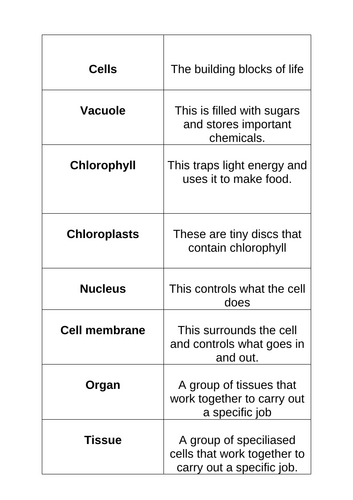 Y7 Cells Revision | Teaching Resources