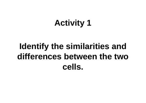 Y7 Cells Revision | Teaching Resources