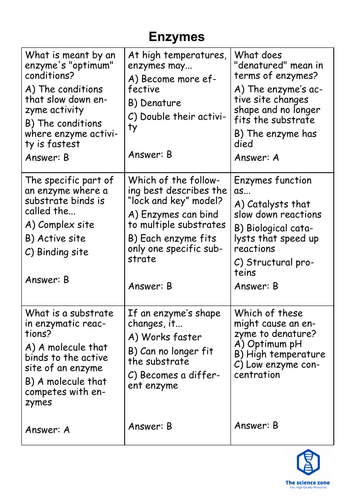 B1 Enzymes Revision Race Game with Revision Cards (Free) | Teaching ...
