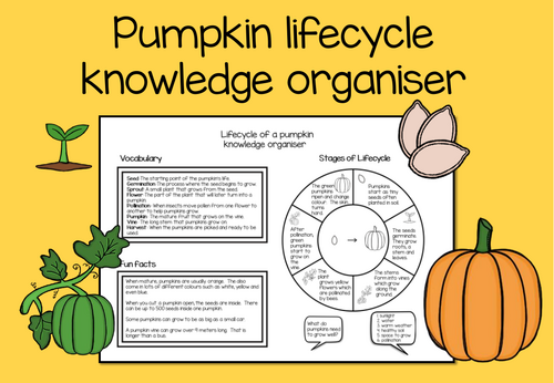 Pumpkin Lifecycle Learning Pack | Teaching Resources