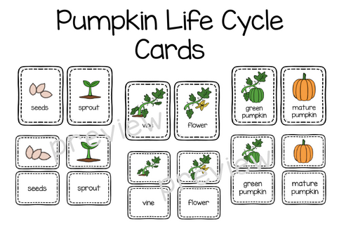 Pumpkin Life Cycle Learning Pack | Teaching Resources