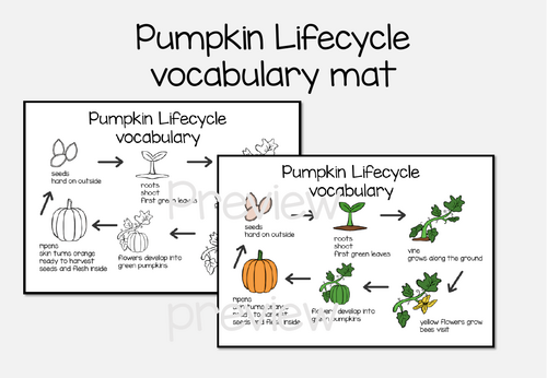 Pumpkin Lifecycle Learning Pack | Teaching Resources