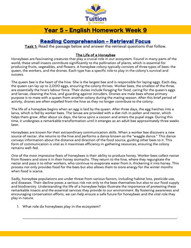 9. Year 5- Reading Comprehension & Grammar | Teaching Resources