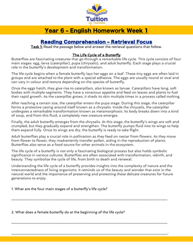 1. Year 6 - Reading Comprehension & Grammar | Teaching Resources