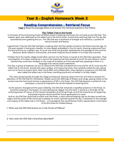 3. Year 6 - Reading Comprehension & Grammar | Teaching Resources