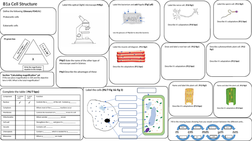 AQA Biology Cell Structure Revision Mat | Teaching Resources