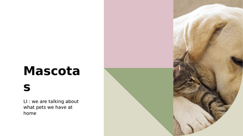 pets / animals French P7 / S1 | Teaching Resources