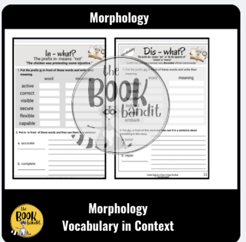 A PLACE TO HANG THE MOON based on the book by Kate Albus NOVEL STUDY ...