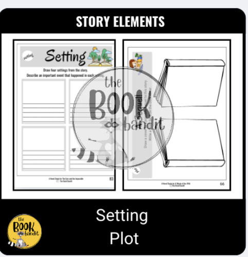 A PLACE TO HANG THE MOON based on the book by Kate Albus NOVEL STUDY ...