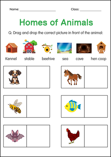 Printable Animals and Their Homes Activity Worksheets for Grade 1, 2, 3 ...
