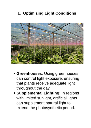 Enhancing plant growth | Teaching Resources