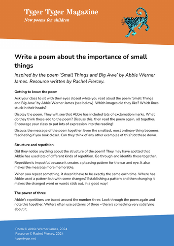 KS2 poetry - the importance of small things | Teaching Resources