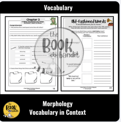 THE SPIDERWICK CHRONICLES #5 The Wrath of Mulgarath NOVEL STUDY ...