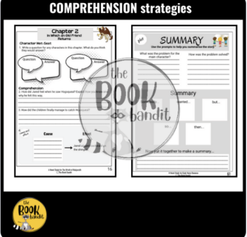 THE SPIDERWICK CHRONICLES #5 The Wrath of Mulgarath NOVEL STUDY ...