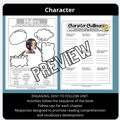 THE SPIDERWICK CHRONICLES #2 The Seeing Stone BOOK COMPANION and Novel ...