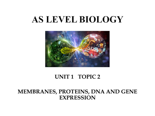 PowerPoint for Unit 1 Topic 2 IAS | Teaching Resources