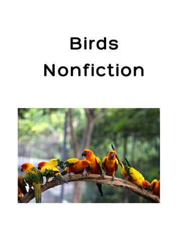 Birds Nonfiction: Reading comprehension passage | Teaching Resources