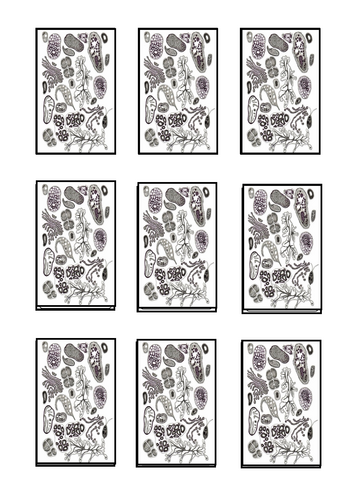 National 5 biology Unit 1 Taboo game | Teaching Resources