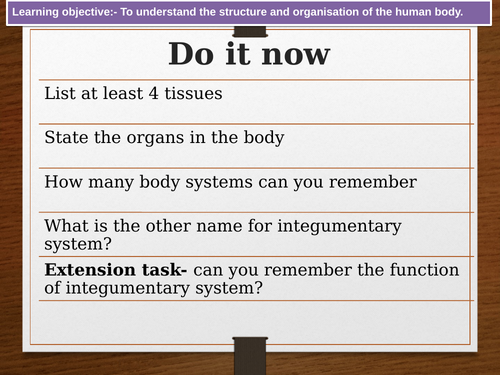 Unit 3 Anatomy and Physiology HSOC | Teaching Resources