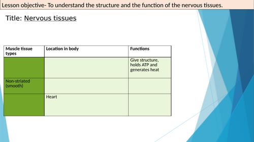 Unit 3 Anatomy and Physiology HSOC | Teaching Resources