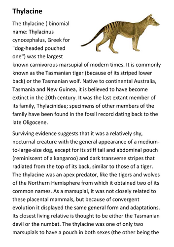 Thylacine (Tasmanian tiger) Handout | Teaching Resources
