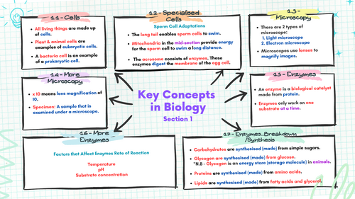 Key Concepts in Biology Mind Map - Section 1 (1.1 -1.9) | Teaching ...