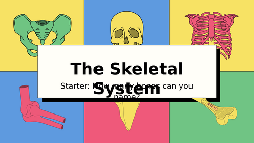 T Level Health - The Skeletal System | Teaching Resources